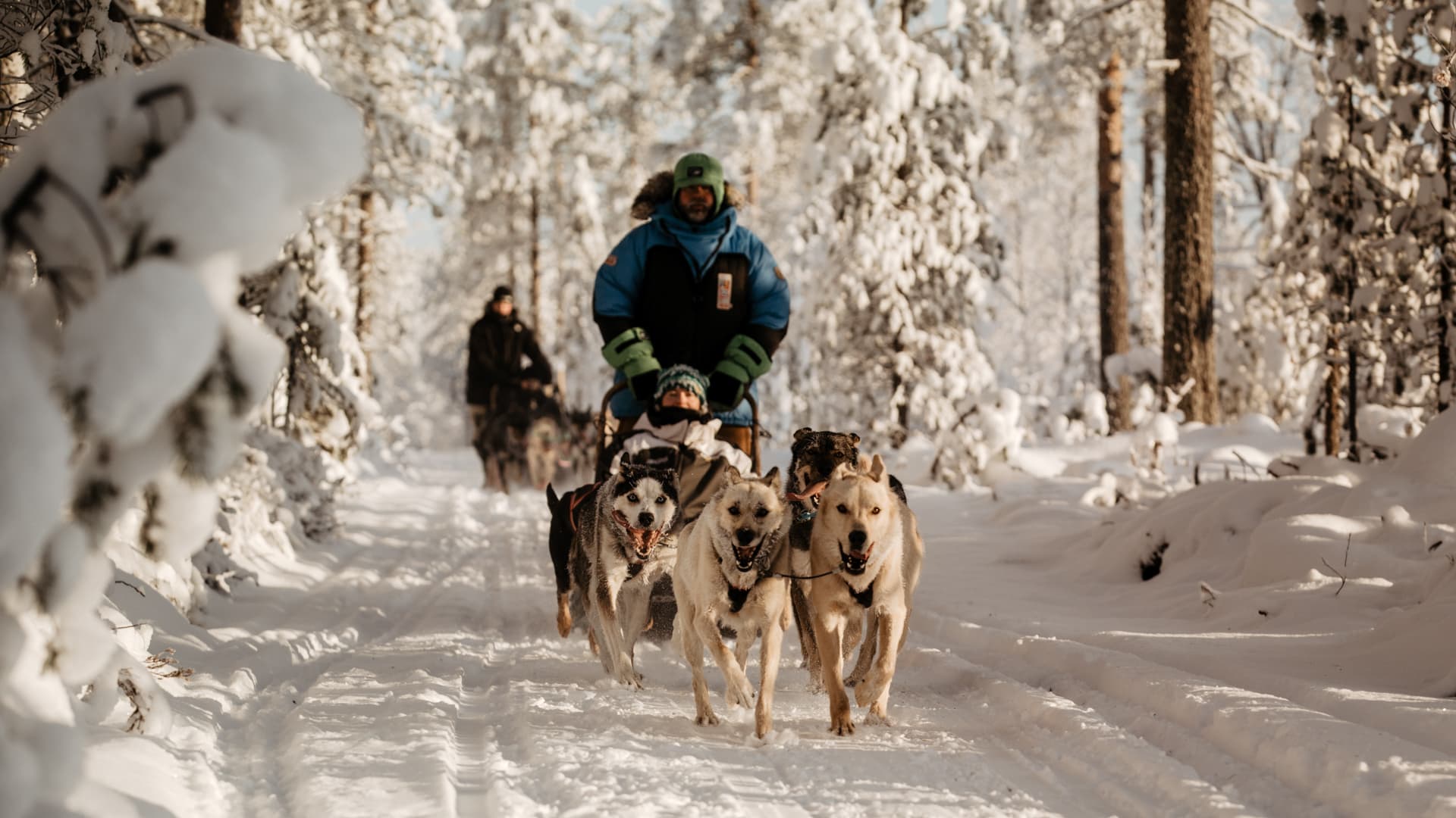 Book activities – All About Lapland